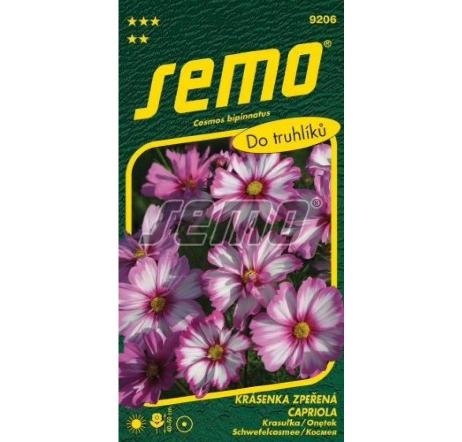 Cosmos bipinnatus , Krásenka ´GAZEBO MIX´, bal. 20 s.