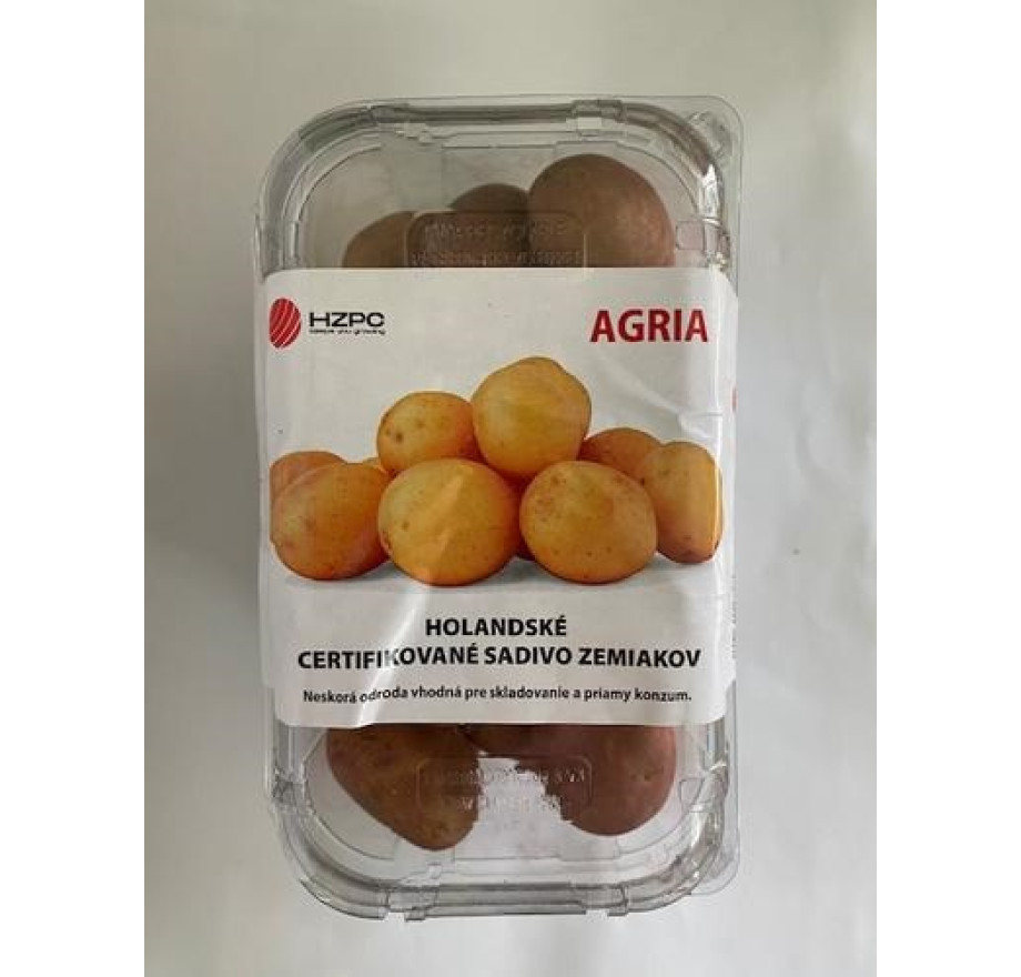Solanum Tub. ´Agria´ , Sadbové brambory žluté, středně rané, bal. 1 kg, I.