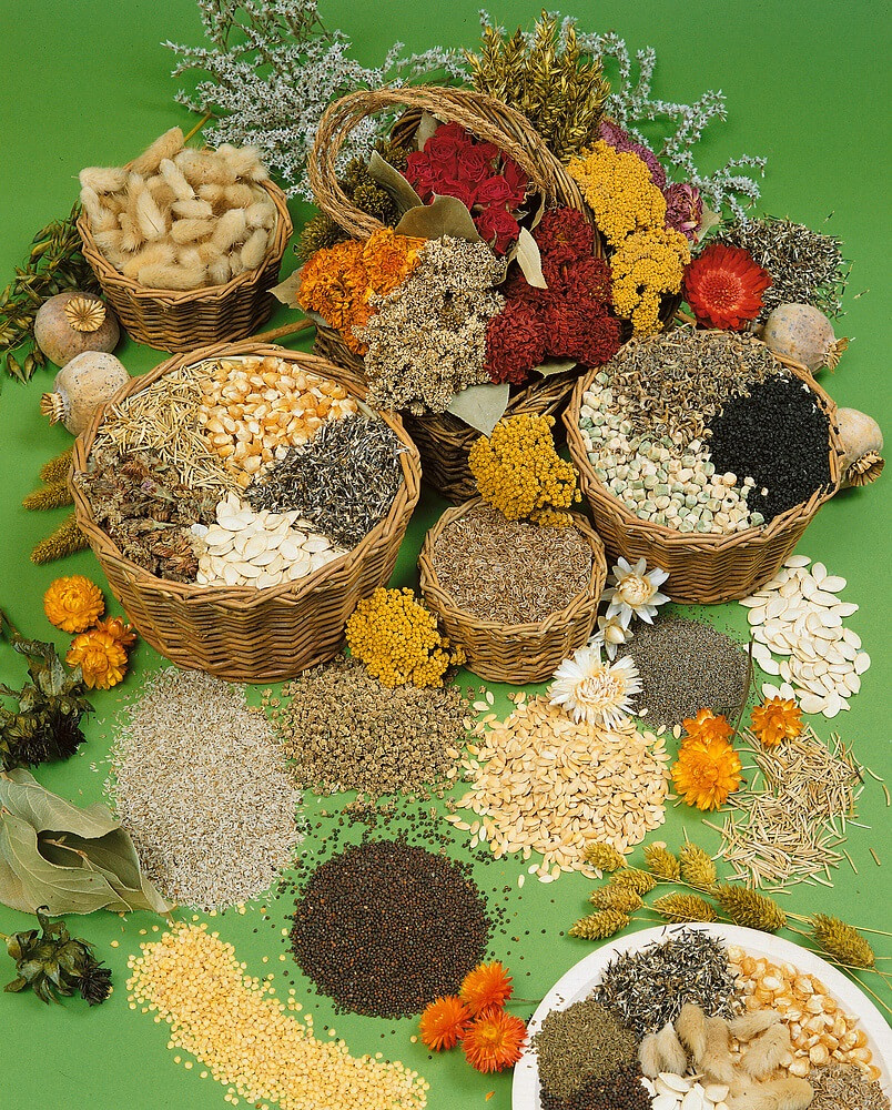 Kolekce semen zeleniny ´MAXI´, mix semen