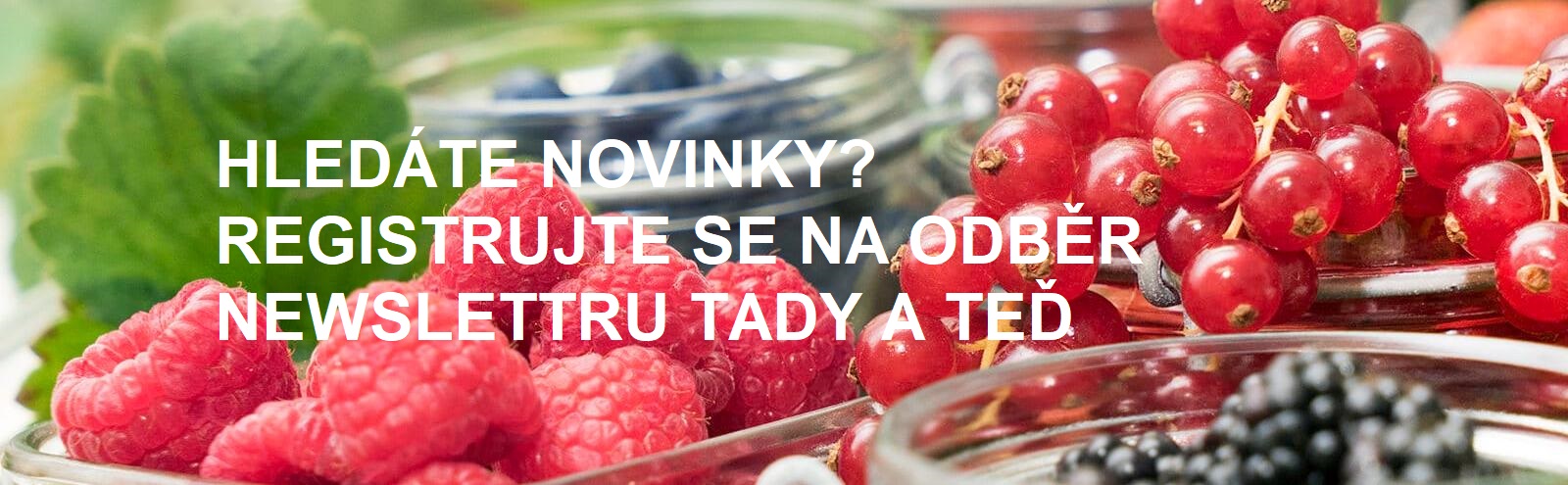 Rostlinky.cz - Férové online zahradnictví již od roku 2001!